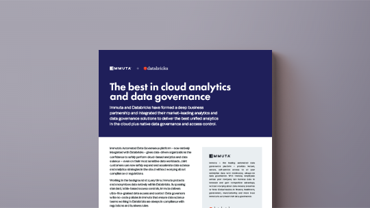 The best in cloud analytics and data governance | Immuta