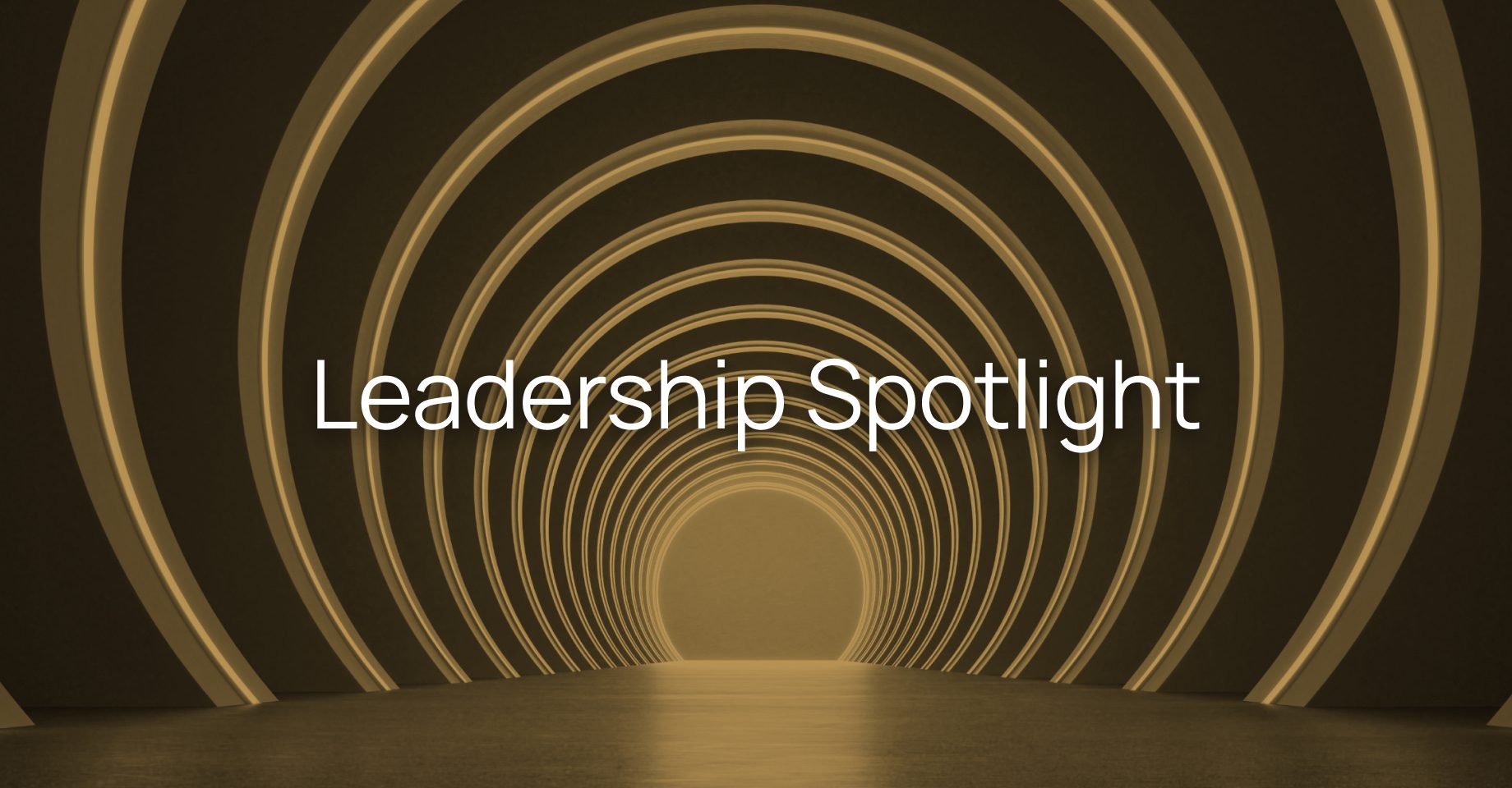 How Vizient Delegates Data Ownership to Optimize Operations | Immuta