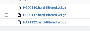 Implementing Privacy Controls for Genomics | Immuta